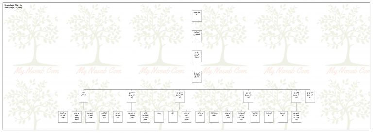 Family tree (linage) - Shajra - Husseini - Hasani - Zaidi - Gilani ...