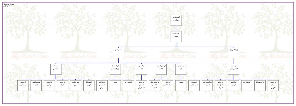 The Syed Family A brief introduction to the Syed linage (Shajra)