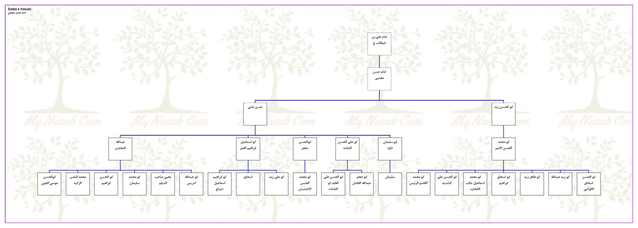 The Syed Family A brief introduction to the Syed linage (Shajra)