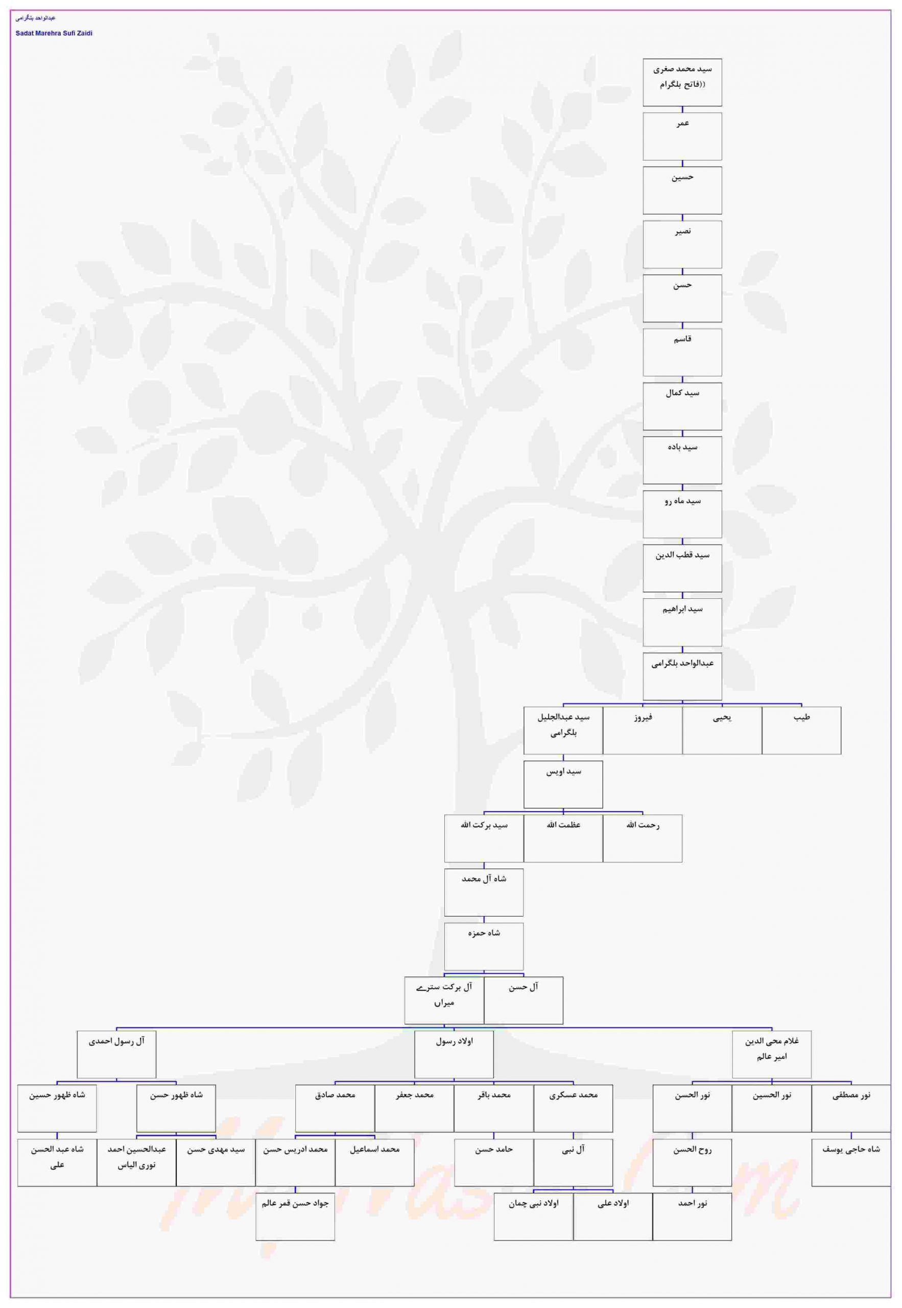 Marehra Sufi Zaidi Ul Wasti Syeds - Syed/Sadat Family tree
