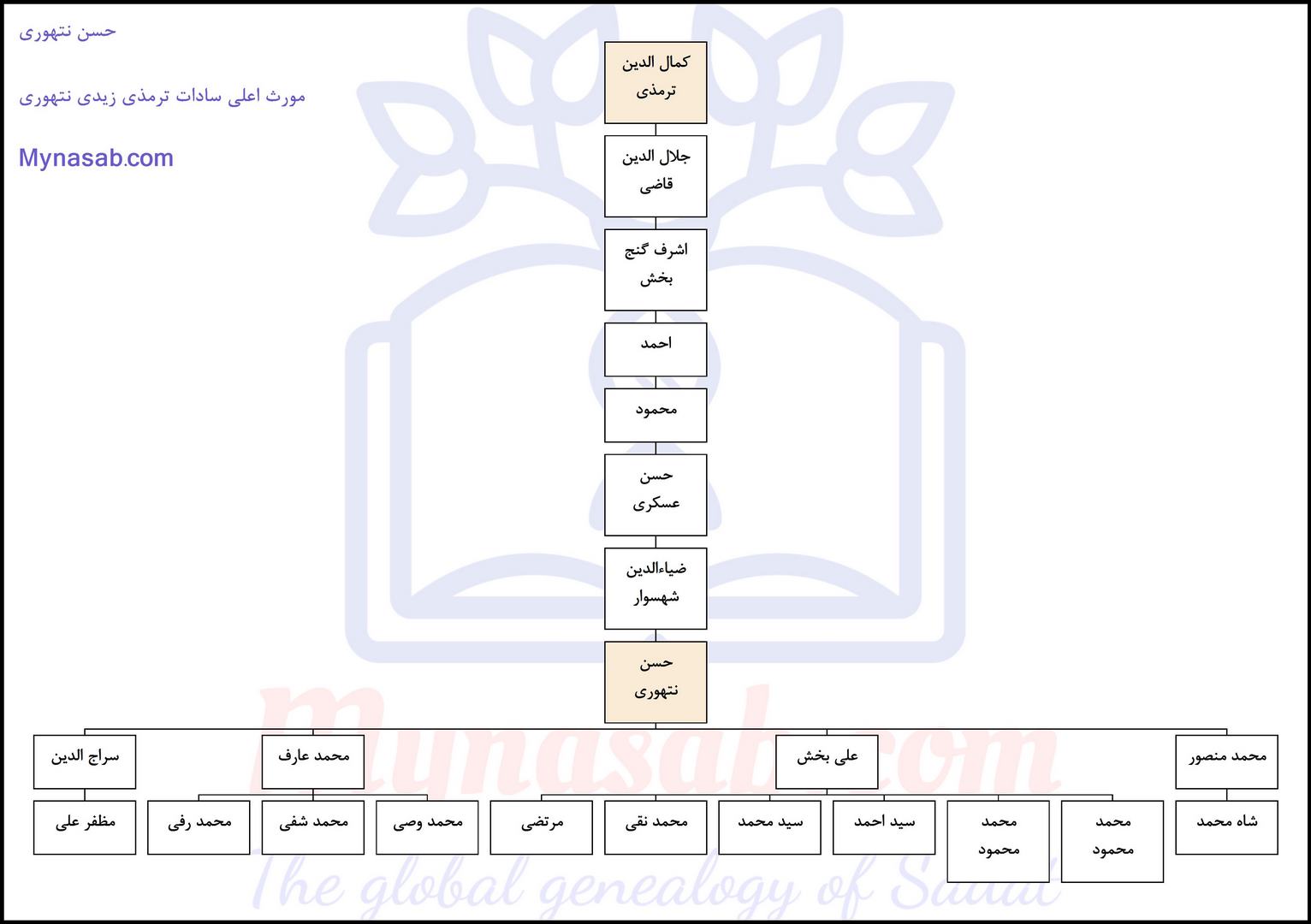 Syed and Sadat Genealogy Syed Family Tree Shajra
