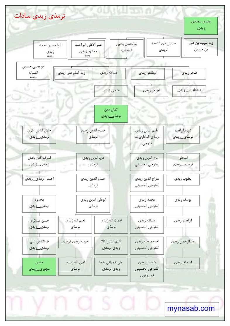 The Syed Family A brief introduction to the Syed linage (Shajra)