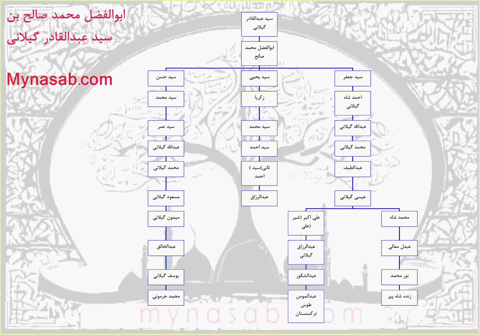 Syed and Sadat Genealogy Syed Family Tree Shajra