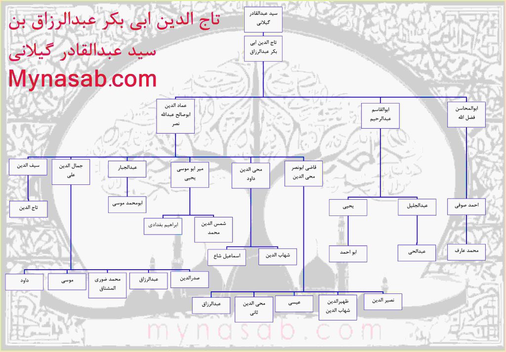 Yusuf Raza Gilani Archives - Syed/Sadat Family tree