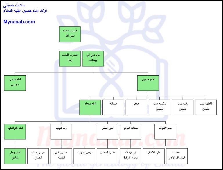 Syed and Sadat Genealogy Syed Family Tree Shajra