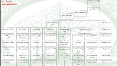 The Syed Family A brief introduction to the Syed linage (Shajra)