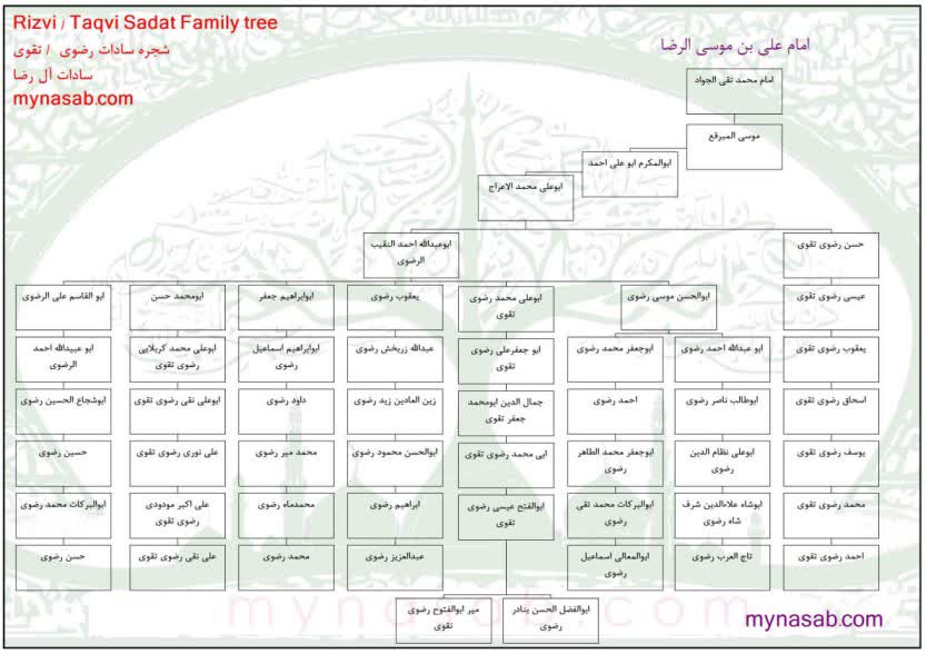 Ale Reza Rizvi Taqavi Sadat - Syed/Sadat Family tree