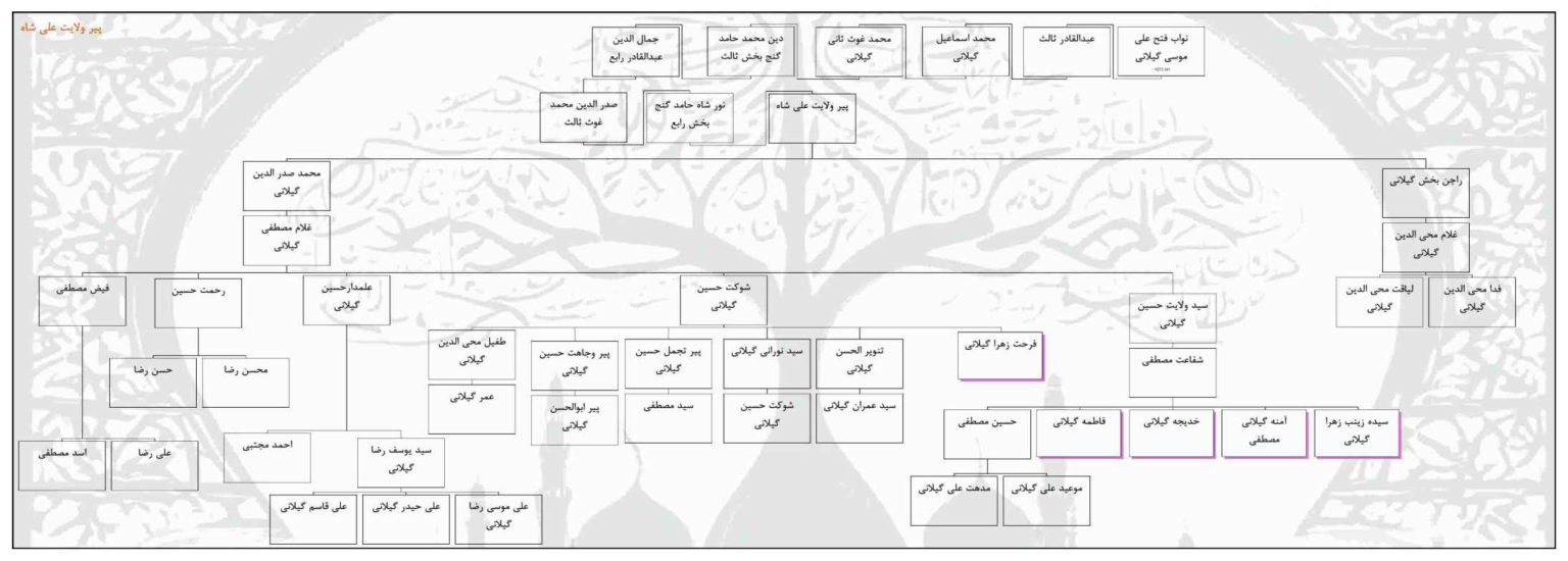 Syed and Sadat Genealogy Syed Family Tree Shajra