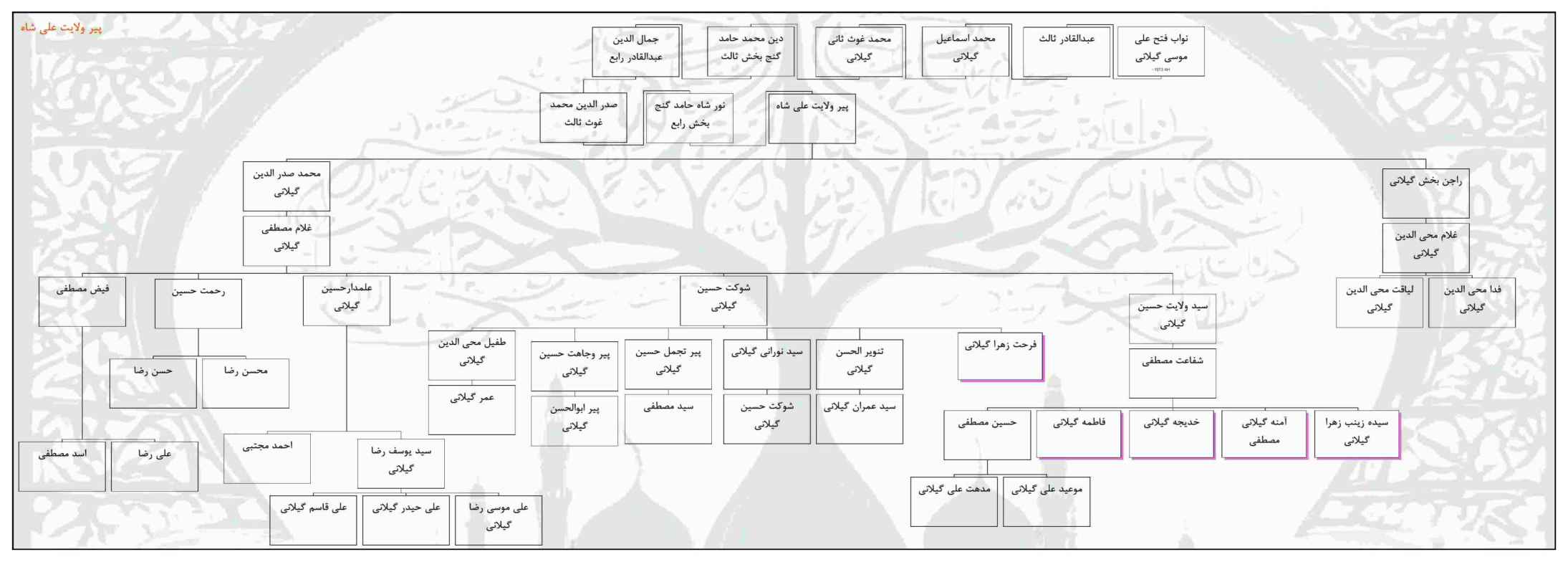 Syed and Sadat Genealogy Syed Family Tree Shajra