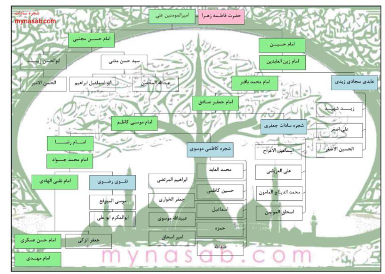 Syed and Sadat Genealogy Syed Family Tree Shajra